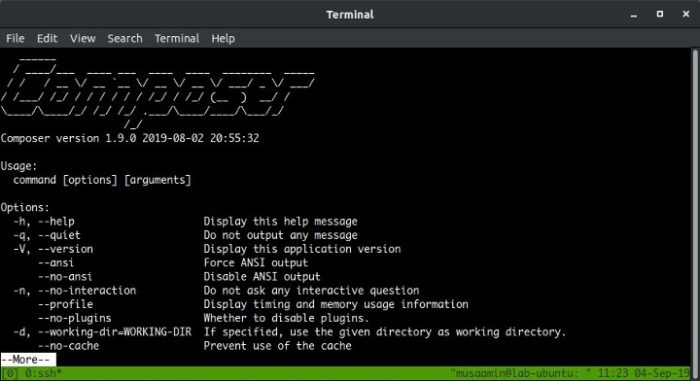 Cara Install Laravel 6 Di Ubuntu 1804 • Linux And Open Source